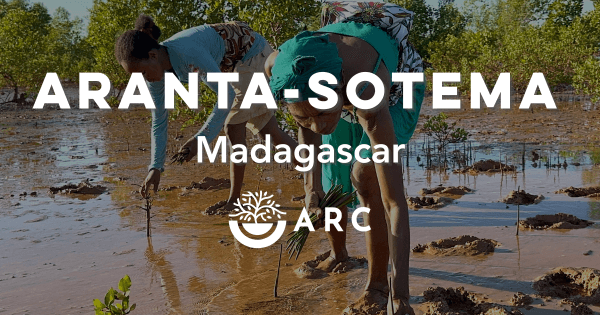 Aranta-Sotema | ARC Environmental Restoration