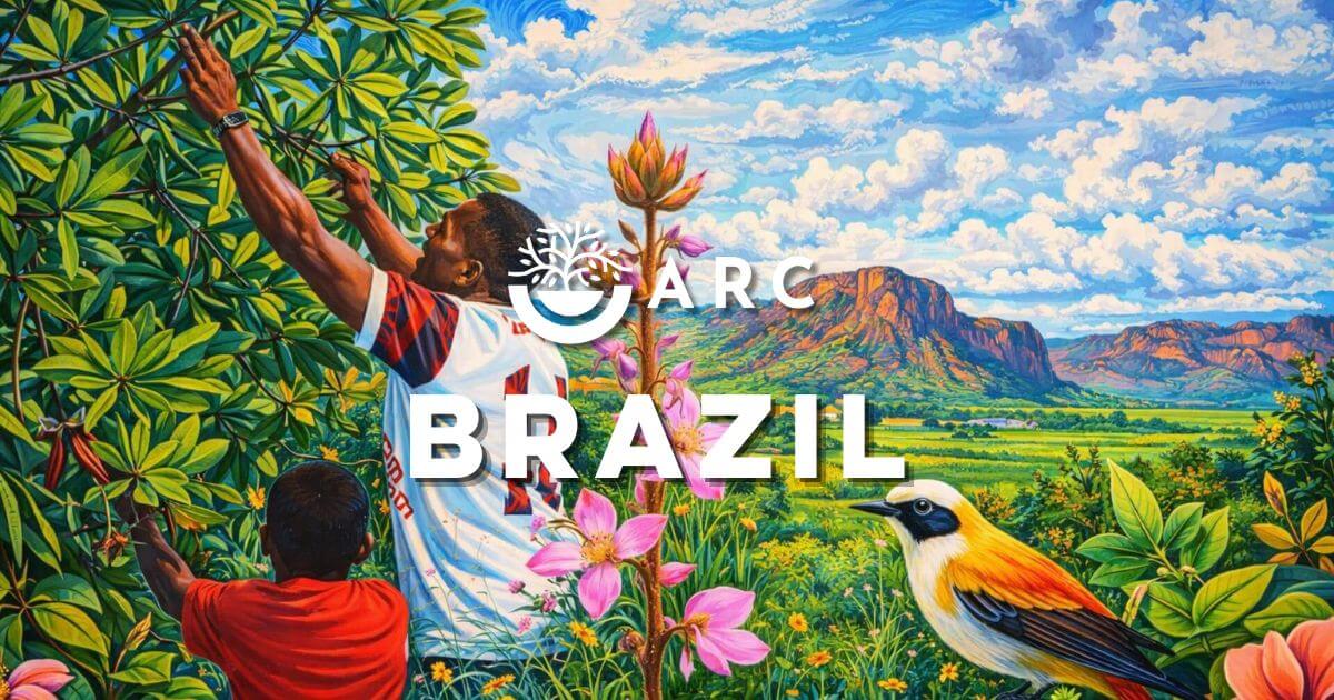 Brazil | ARC Environmental Restoration